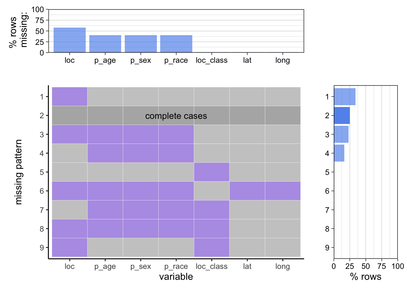 Chapter 3 Data | NYC 2022 Shooting Incident Analysis